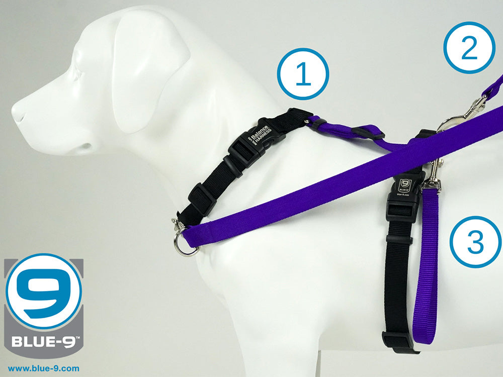 Blue-9 Balance Harness – Ruffin' It Canine Club